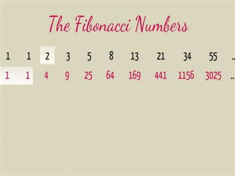 Fun With Maths Fibonacci Numbers Pptx