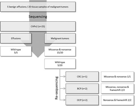 FIG URE 1 Workflow For The Malignant Tumor Tissue Cases N 5 20 And Download Scientific