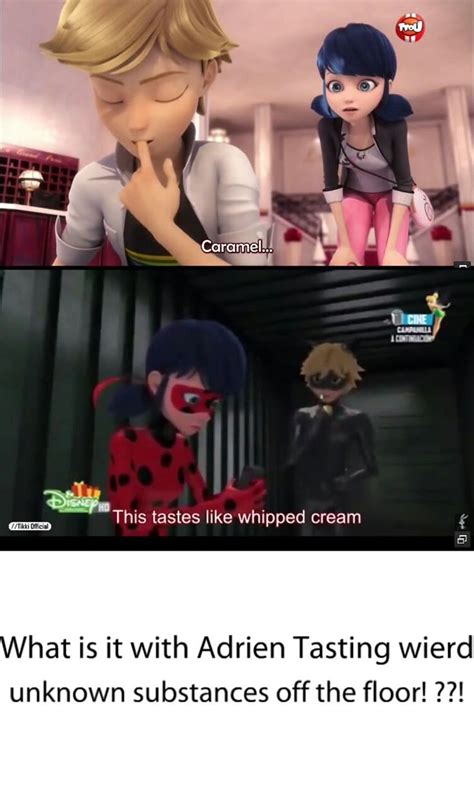 Isnt It Weird Miraculous Ladybug Memes Miraculous Ladybug Movie Miraculous Ladybug Fanfiction