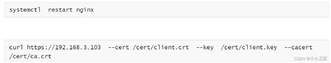 Pki 借助nginx实现客户端使用ca根证书签发客户端证书nginx 客户端证书 Csdn博客