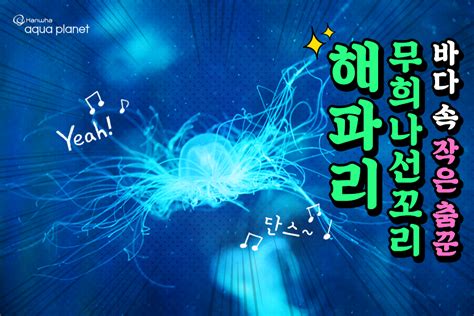 아쿠아플라넷 나는 바닷속 춤꾼 무희나선꼬리해파리 💃🕺 반짝반짝 조명까지 갖춰진 나의 무대
