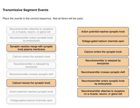 Transmissive Segment Events Place The Events In The Correct Sequence Not All Items Will Be Used