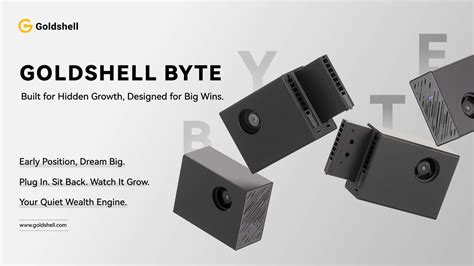 What Is Dual Mining Leedminer