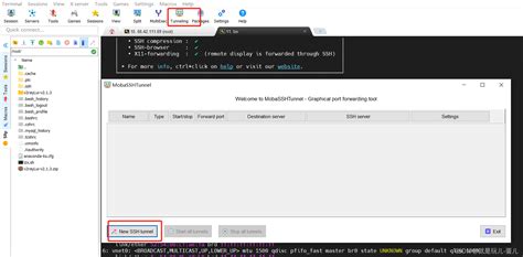 mobaxterm实现代理功能及把内网服务器，用公网地址转发出去。 mobaxterm设置代理 csdn博客