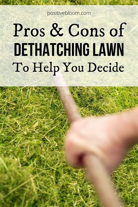 The Pros And Cons Of Dethatching Lawn To Help You Decide Artofit