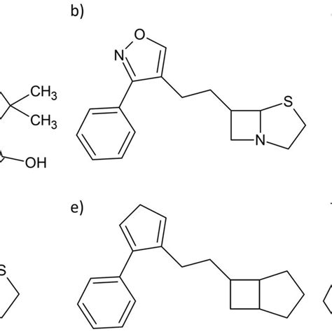Different Scaffold Types Available In Scaffold Generator A Unaltered