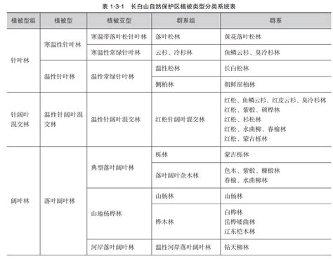 森林生态系统 长白山世界地质公园