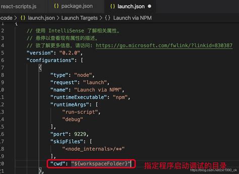 使用vscode调试npm Scriptsnpm Start可以调试吗 Csdn博客