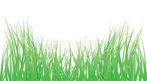 Green Grass In Horizontal Outline Eps Stock Illustration