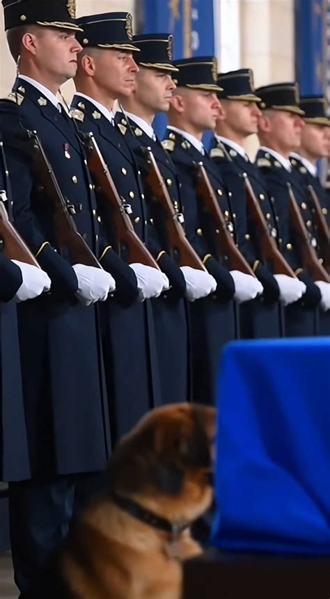 💔🇫🇷 A French Soldier Gave Everything He Had And Now Even His Silence