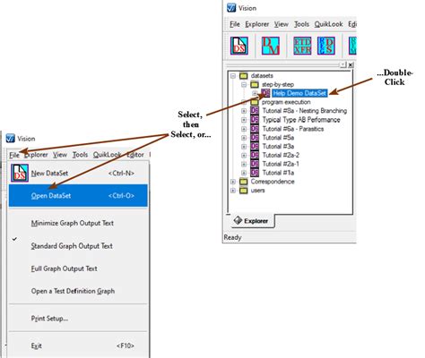 Main Vision ManualDataSet Opening