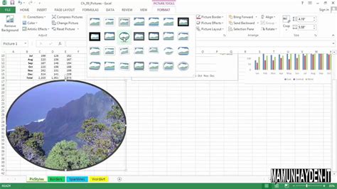 Microsoft Excel Tutorial Formatting Picture Styles Youtube