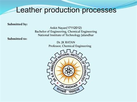 leather industry by ankit nayan 17112012 ppt