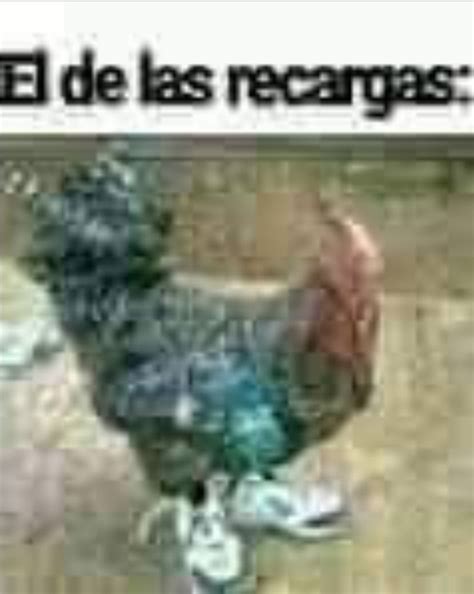Gallo Meme Subido Por Xx Epicmemes2007 Xx Memedroid