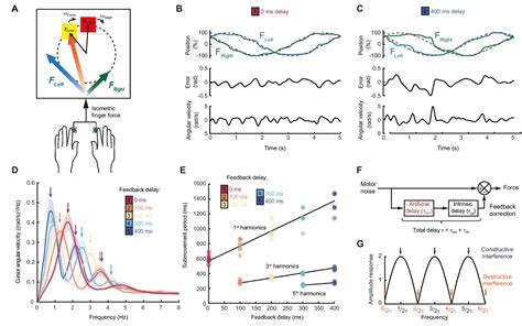 Figures And Data In Extrinsic And Intrinsic Dynamics In Movement Intermittency Elife