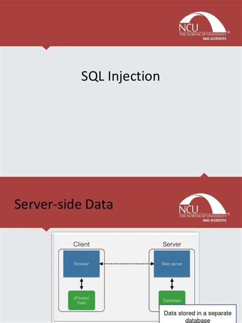 SQL Injection | PDF | Database Transaction | Sql