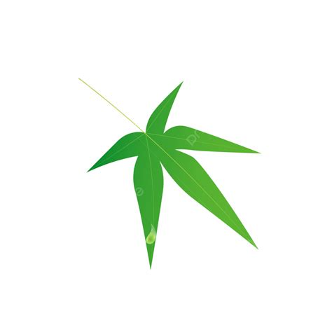 Gambar Daun Vektor Vektor Daun Daun Daun Png Dan Vektor Dengan