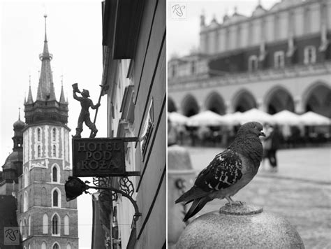 Polowanie Na Motyle KrakÓw Czarno BiaŁy