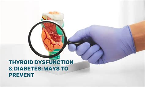 Thyroid Dysfunction And Diabetes Ways To Prevent Healthstory