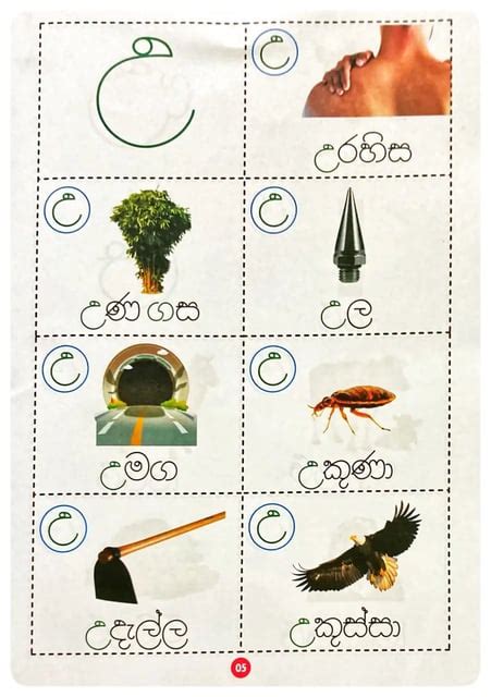 අකුරට රූප Sinhala Akurata Rupa පොත් පැංචා Poth Pancha