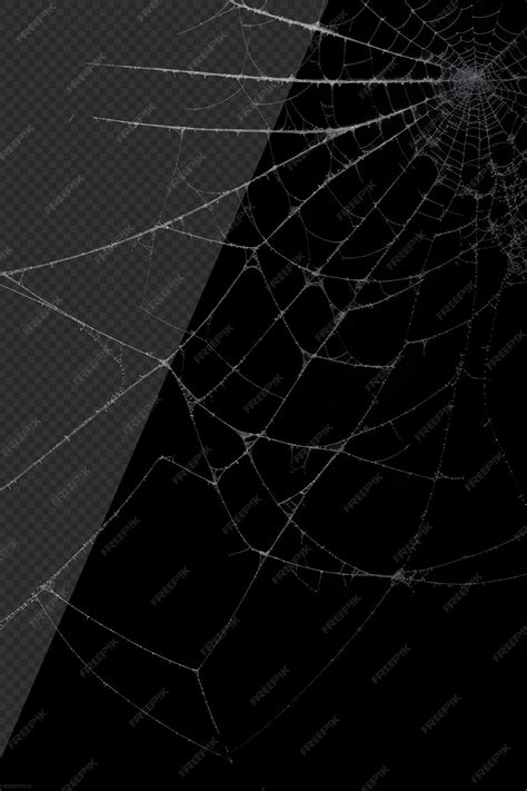 Premium Psd Photorealistic Cobweb