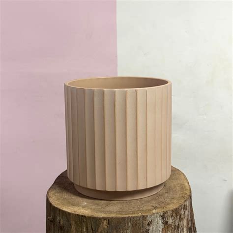 Cedar Pot Clay Ceramic Planter Green Envy Green Envy Indoor Plants