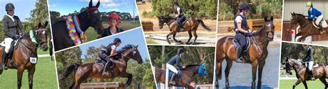 El Machine Mac Of Many Talents Off The Track Wa