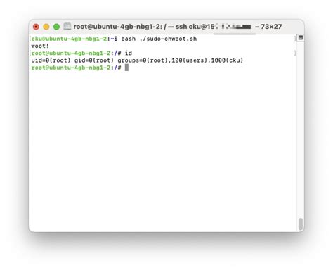 Chwoot Critical Linux Vulnerability Makes Users Root On Most Systems Heise Online