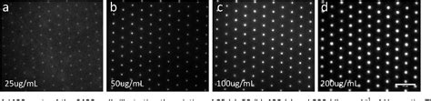 Figure 1 From A Microwell Array Platform To Print And Measure