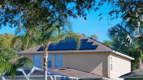 6 Clues For Identifying Young Trees That Will Cause Shade Over Time