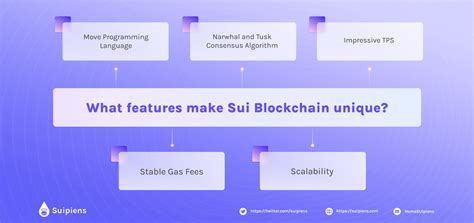 a beginner s guide to sui blockchain