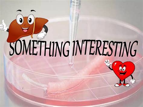 Organ And Tissue Engineeringexamples Pptx