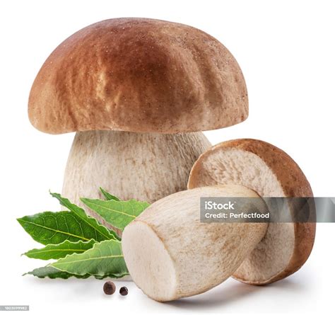 Porcini 버섯 와 월계수 잎 와 후추 와 백색 배경 고립된 통하고 있는 Boletus에 대한 스톡 사진 및 기타 이미지 Istock