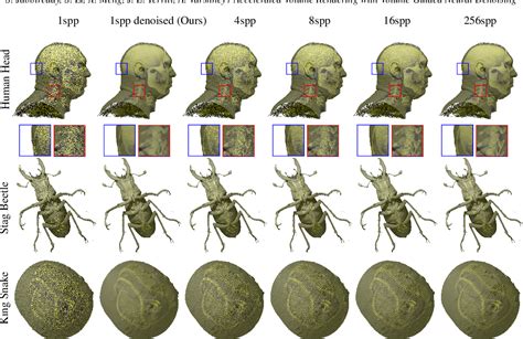 Figure From Accelerated Volume Rendering With Volume Guided Neural Denoising Semantic Scholar