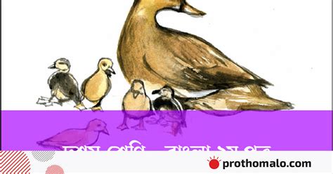 দশম শ্রেণি বাংলা ২য় পত্র প্রত্যয় বহুনির্বাচনি প্রশ্ন ১ ১০ প্রথম আলো