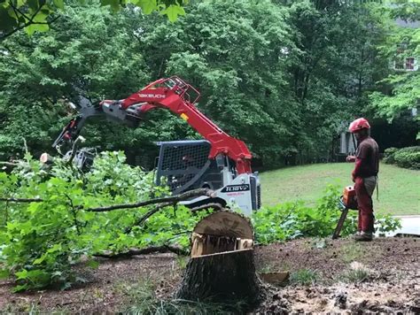 Tree Cutting Business Near Me