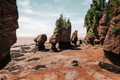 10 Best Things To Do In The Bay Of Fundy New Brunswick