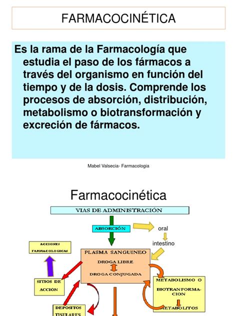Farmacocinetica Medicamentos Con Receta Farmacología
