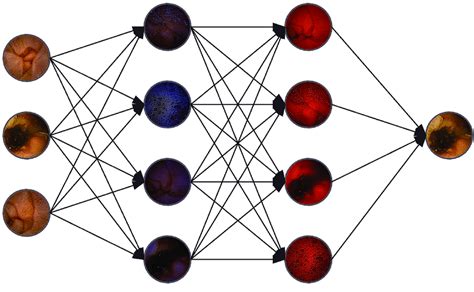 Scheme Of Automated Lesion Detection For Capsule Endoscopy Images Using Download Scientific