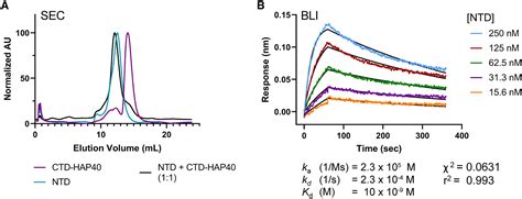 Delineation Of Functional Subdomains Of Huntingtin Protein And Their Interaction With HAP