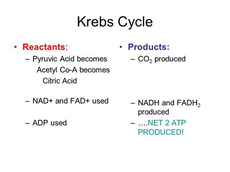 Krebs Cycle And Electron Transport Chain Ppt Video Online Download