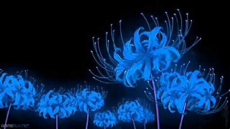 Aventuras No Campus Kimetsu História Escrita Por Raphaeljones