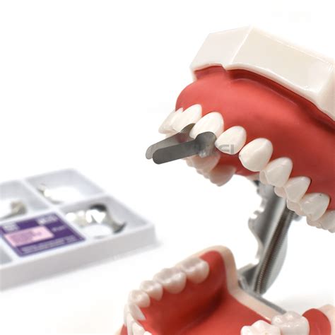 Dental Proximal Anterior Strips Twin Anterior Matrices Matrix Tooth