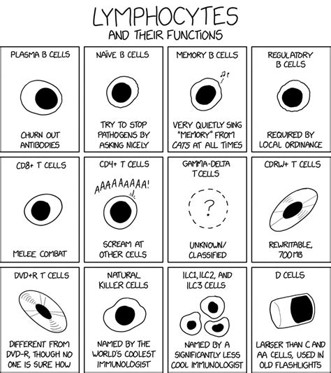 2749 Lymphocytes Explain Xkcd