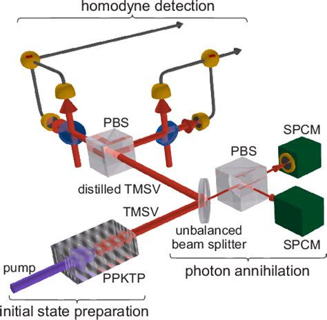 Figure 1 From Distillation Of The Two Mode Squeezed State Semantic