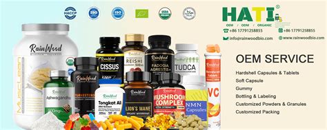 Andrographis Paniculata Burm F Andrographis Paniculata Extract Powder 10 1 Andrographis