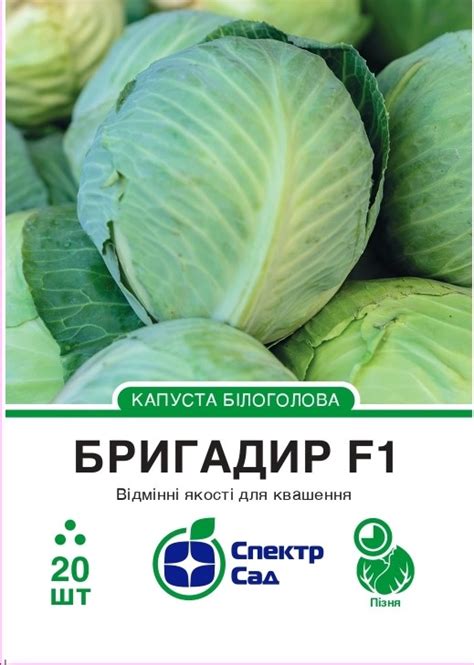 Купити Капуста Бригадир F1 20шт 299 в інтернет магазині Садівник-Базар