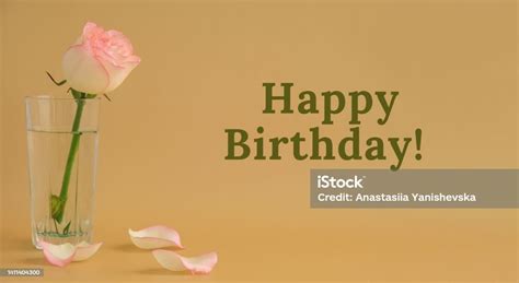 생일 축하 텍스트 인사말 카드 베이지 색 배경에 섬세한 분홍색 장미 최소한의 트렌디 한 구성 로맨틱 파스텔 핑크 장미 꽃 배너