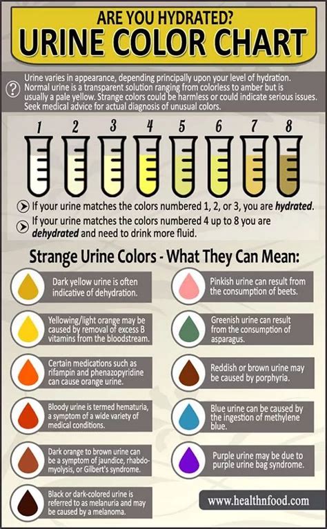 Are You Healthy Find Out With This Urine Color Chart Urine Color And
