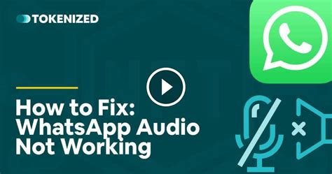 Solved 6 Fixes For Whatsapp Audio Not Working — Tokenized